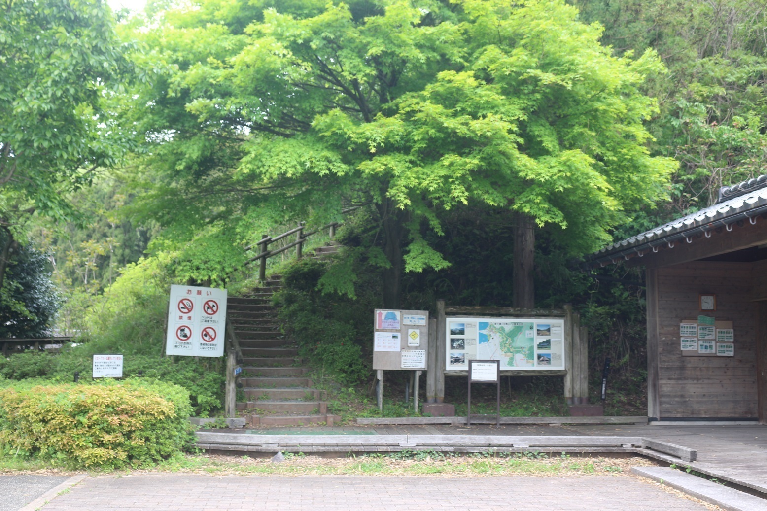 中池見湿地 4月27日(土): 白山遠望